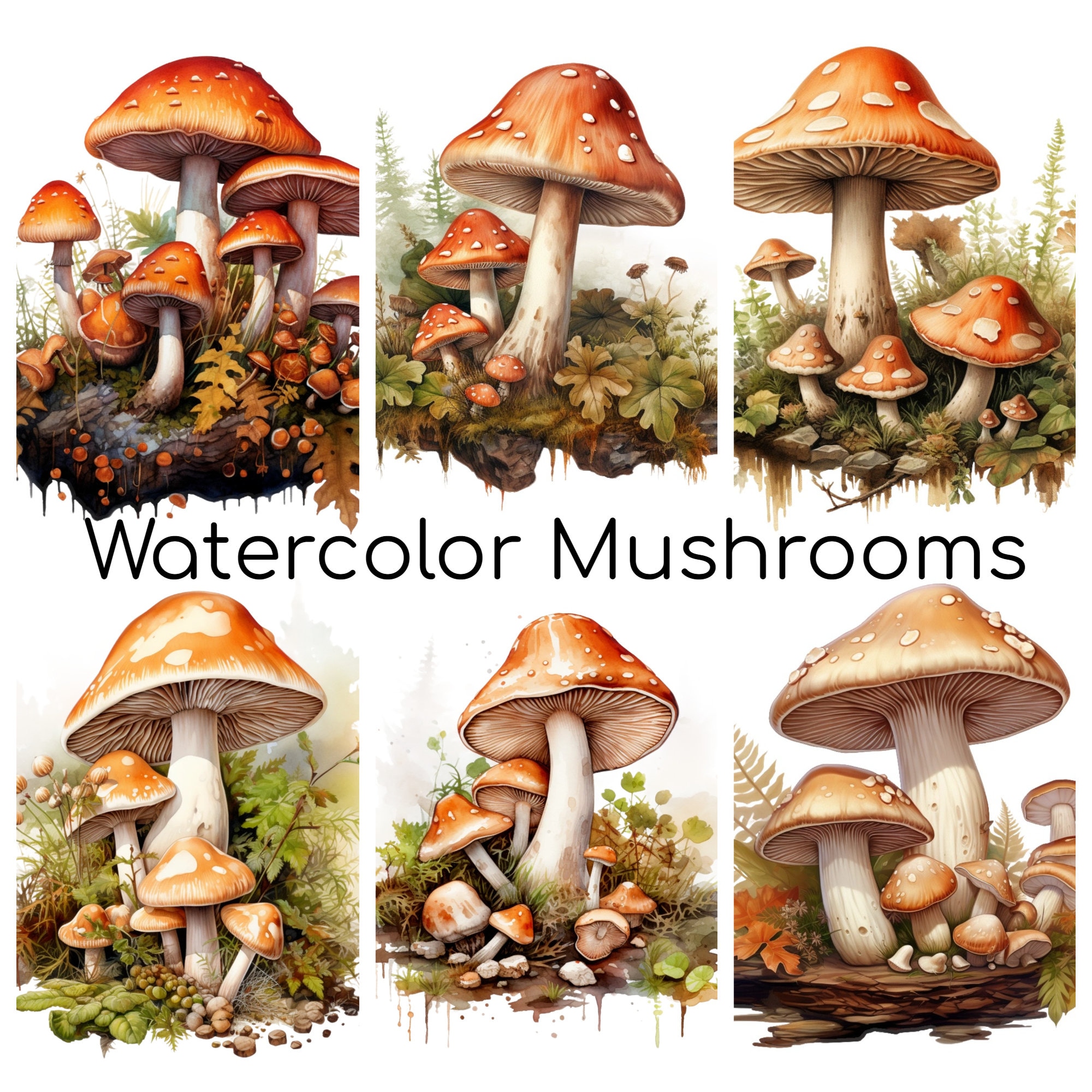 Watercolor Mushrooms Clipart - Cute Forest Nature Toadstool Clip Art ...