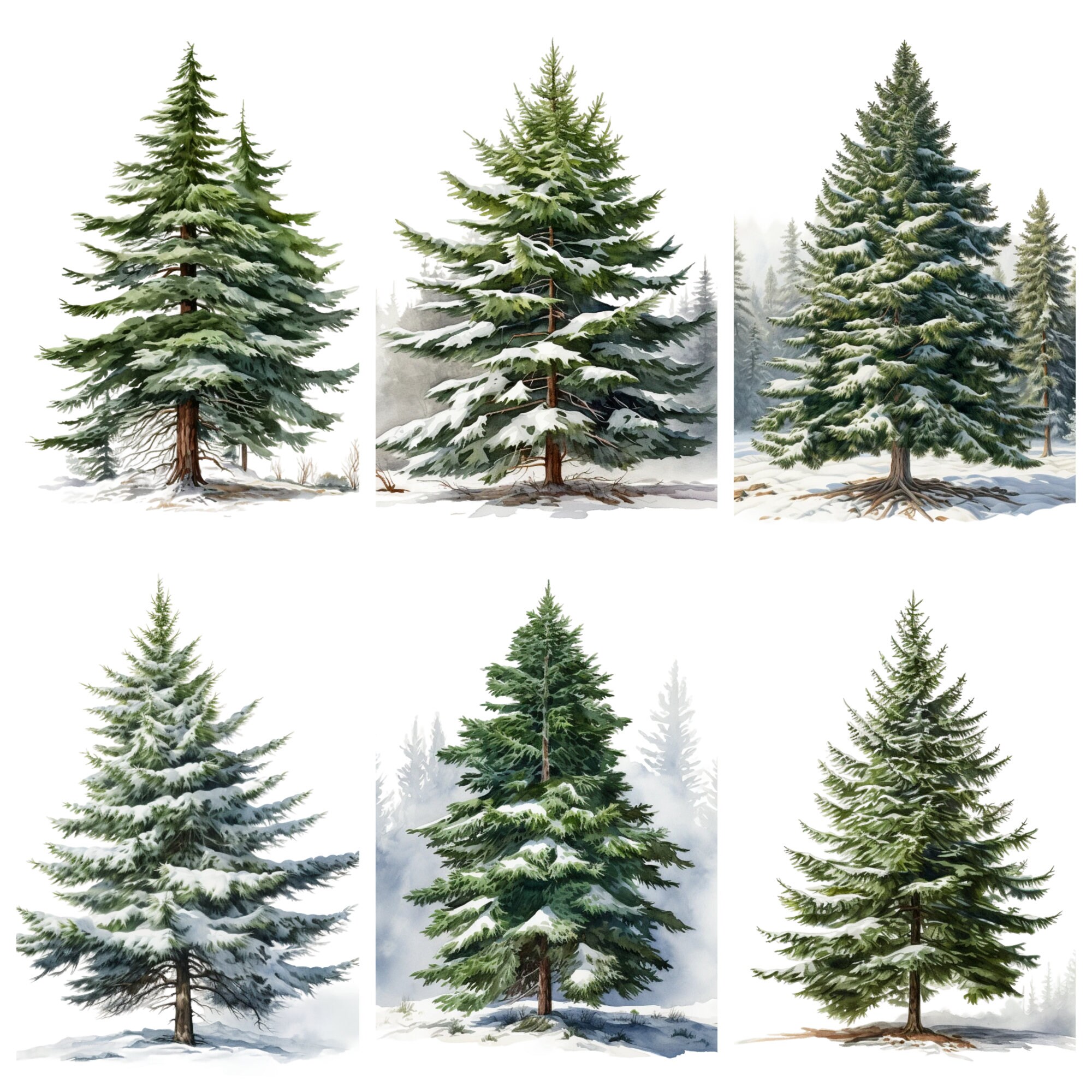 Watercolor Winter Spruce Tree Clipart, Transparent PNG Snow Scene ...