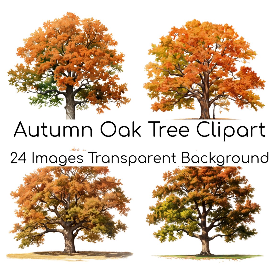 Autumn Oak Tree Clip Art Set: Fall Oak Tree Clipart, Vibrant Watercolor ...