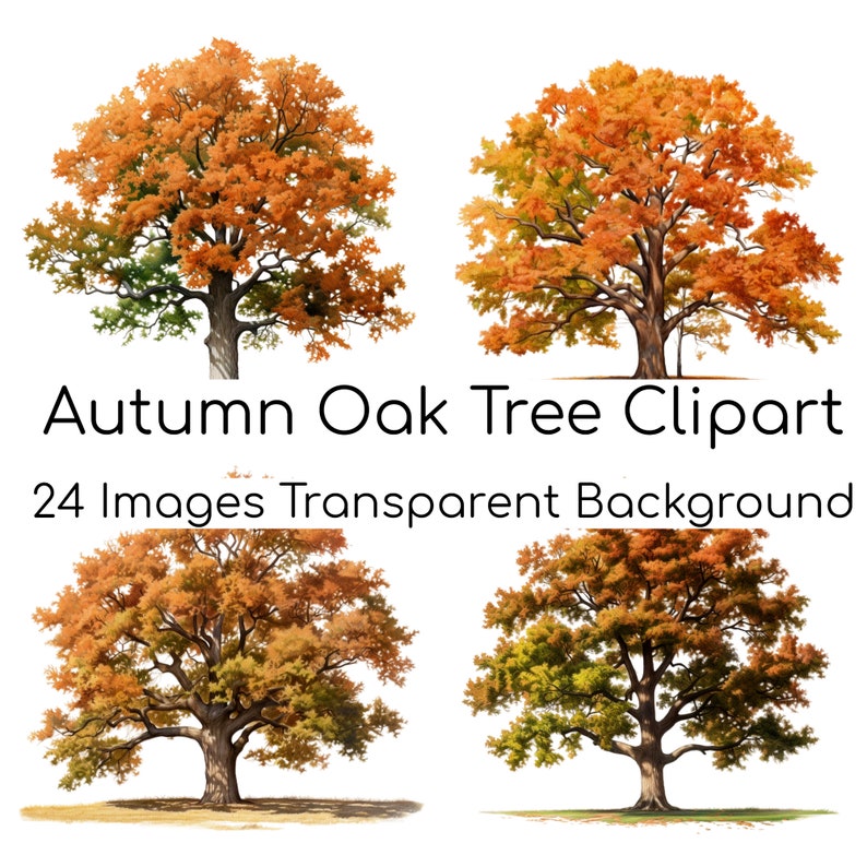 Autumn Oak Tree Clip Art Set: Fall Oak Tree Clipart, Vibrant Watercolor ...