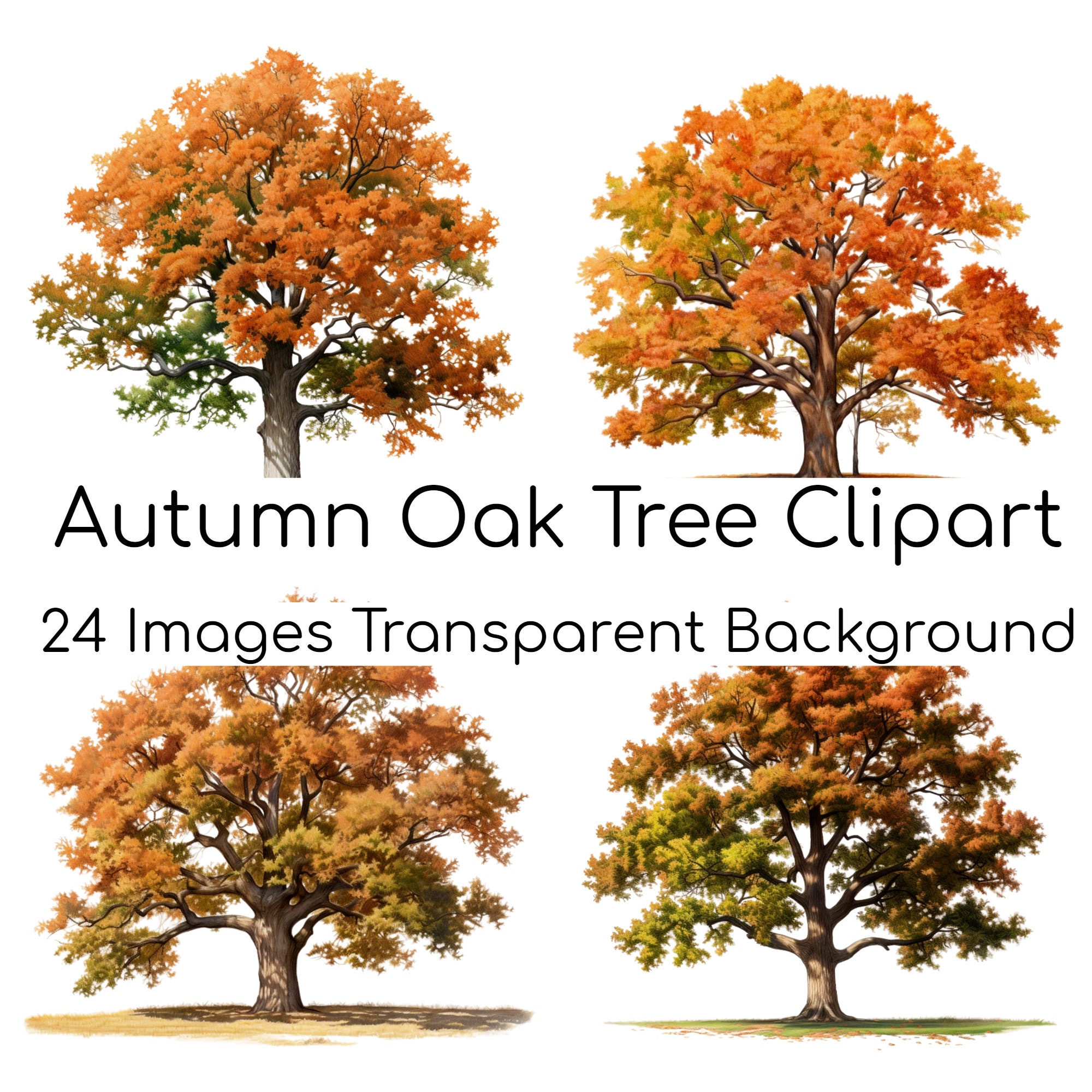 Autumn Oak Tree Clip Art Set: Fall Oak Tree Clipart, Vibrant Watercolor ...