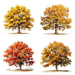 Autumn Oak Tree Clip Art Set: Fall Oak Tree Clipart, Vibrant Watercolor ...