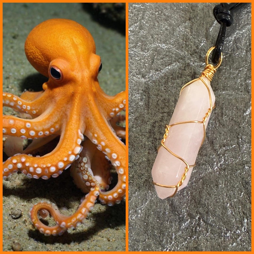 Octopus "orev" Spirit Companion, Spirit Vessel Necklace, Tier 1 - Etsy