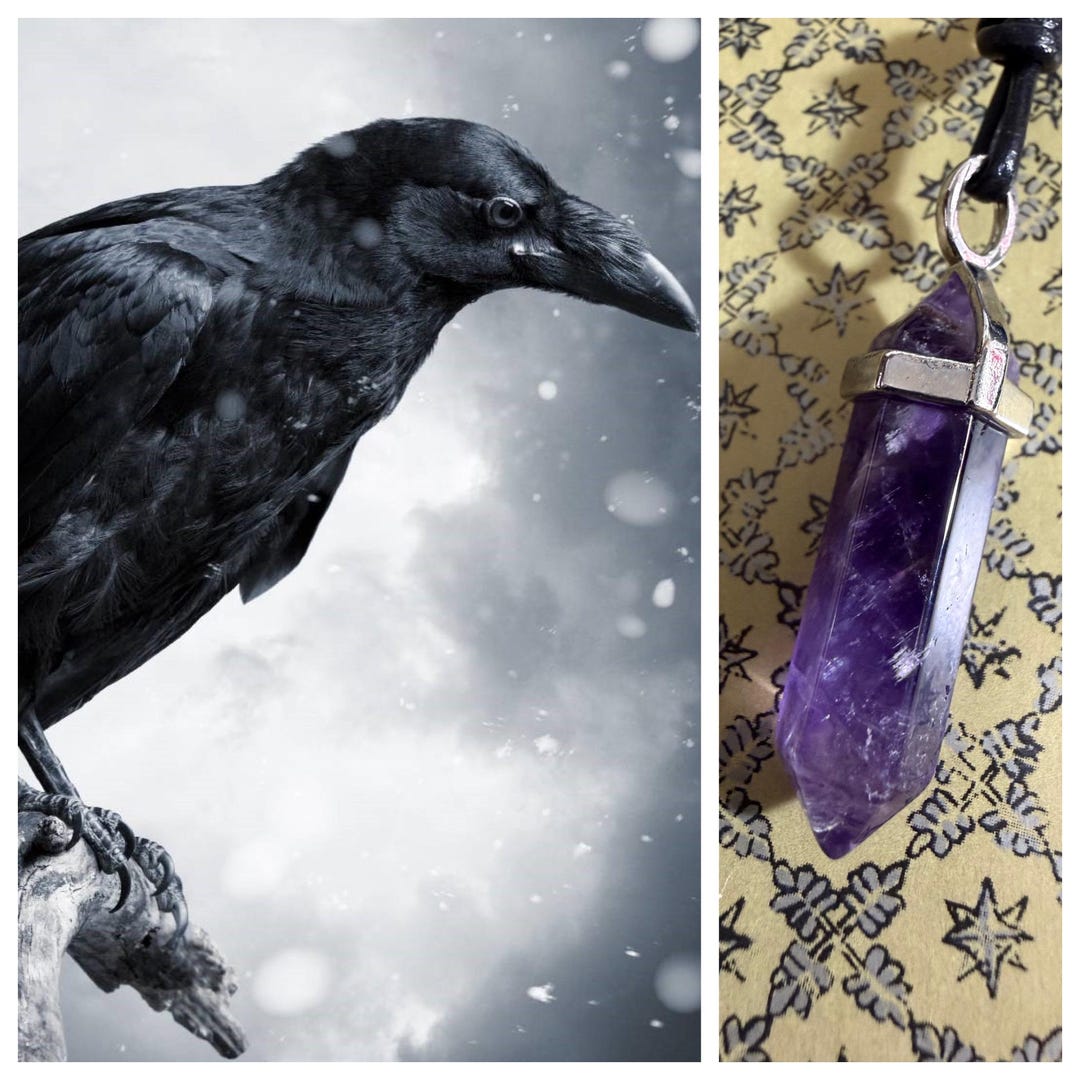 Female Raven "nilora" Spirit Companion, Spirit Vessel Necklace, Tier 1 ...