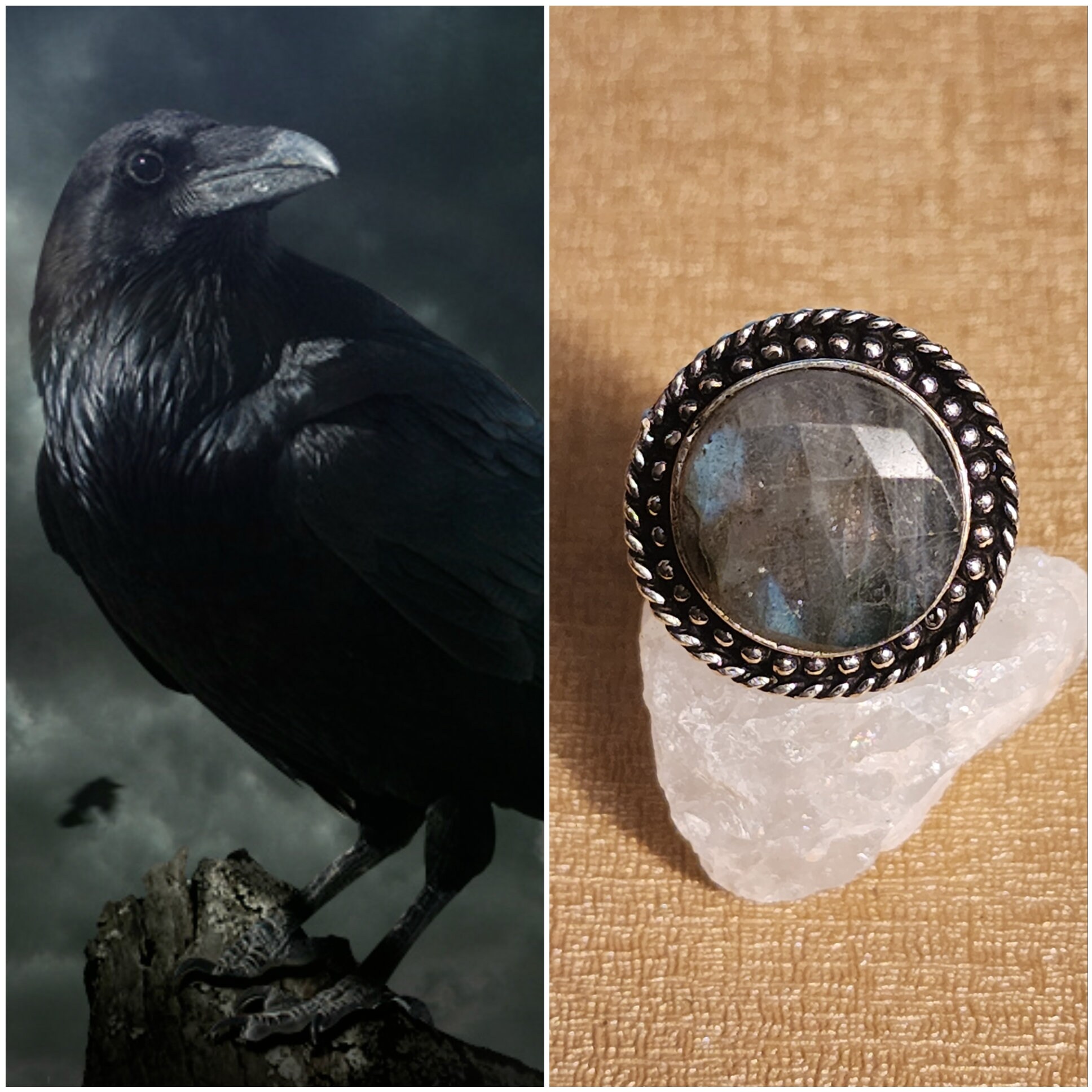 Raven Spirit Companion, Haunted Ring