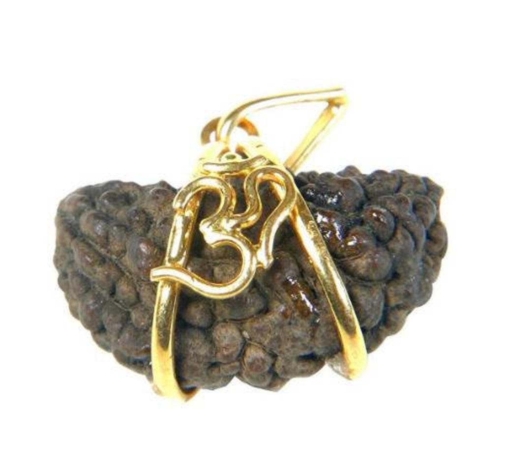 One Face Rudraksha Real Natural One Faced 1 Mukhi Panchdhatu - Etsy