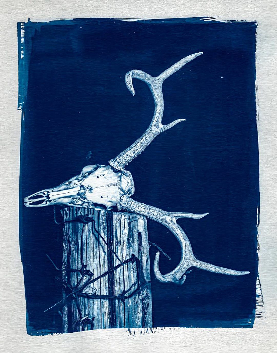 Deer Skull Post Cyanotype Blueprint Printable Digital Download by San ...