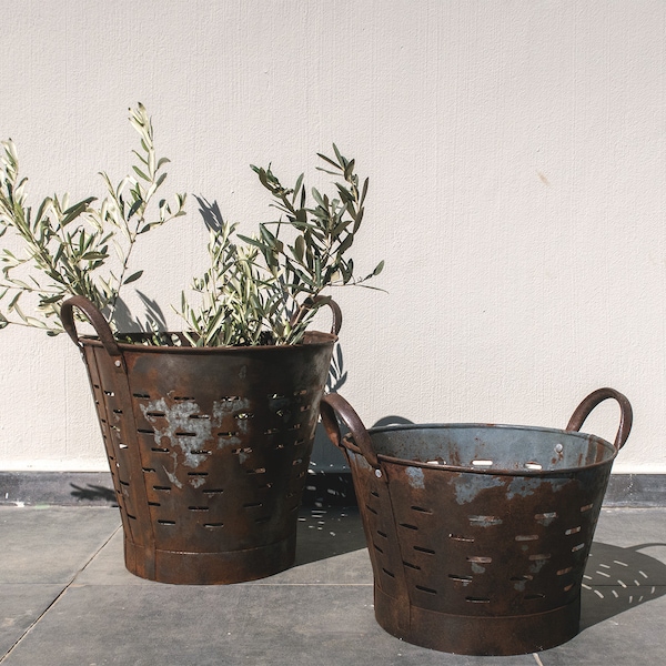 Olive Bucket - Etsy