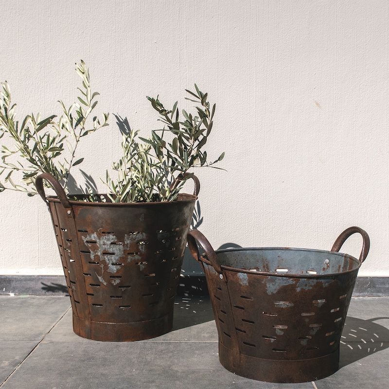 Olive Bucket - Etsy