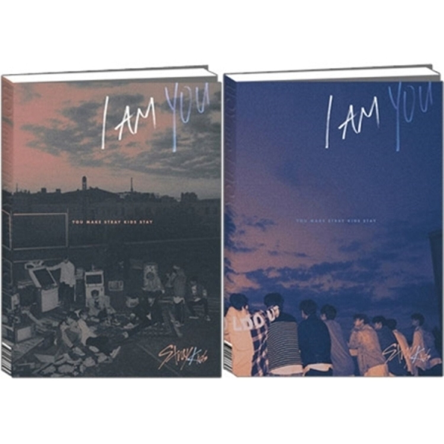 Stray Kids Album Collection - Etsy