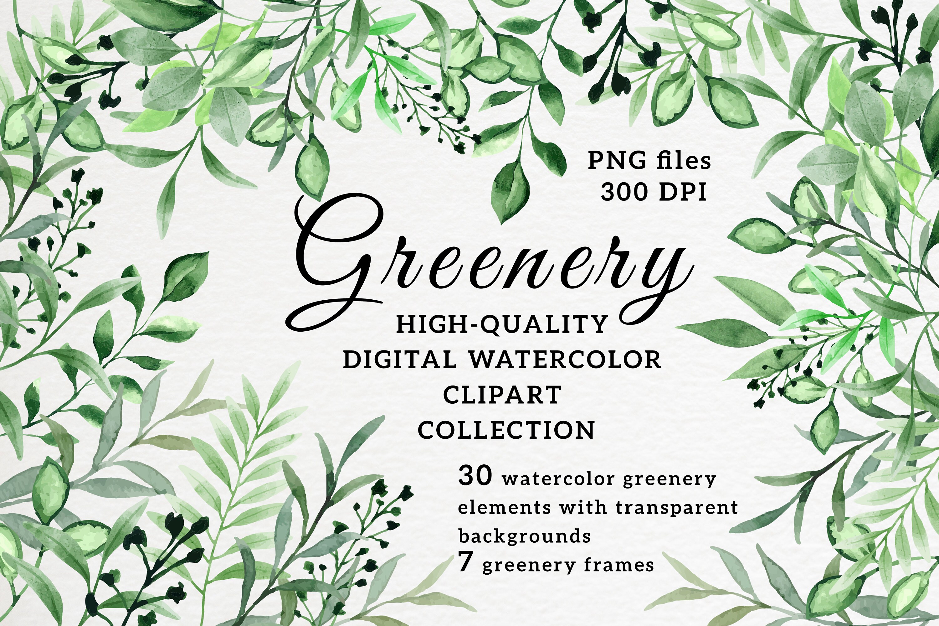 Greenery Clipart Watercolor Floral Greenery Png Leaves - Etsy