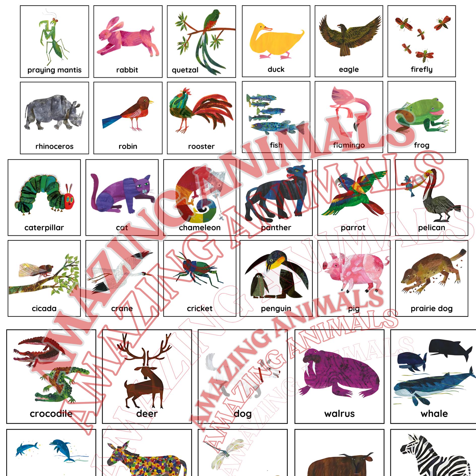 Eric Carle-inspired Animal Flashcards: ABC Learning (PDF) - Etsy