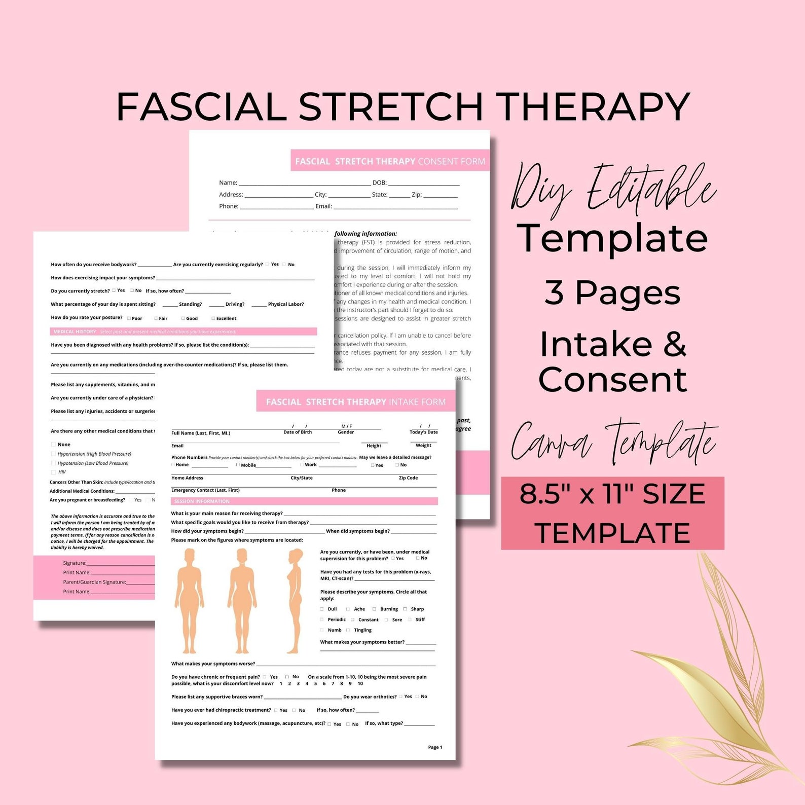 Fascial Stretch Therapy Intake and Consent Form, Canva Template - Etsy