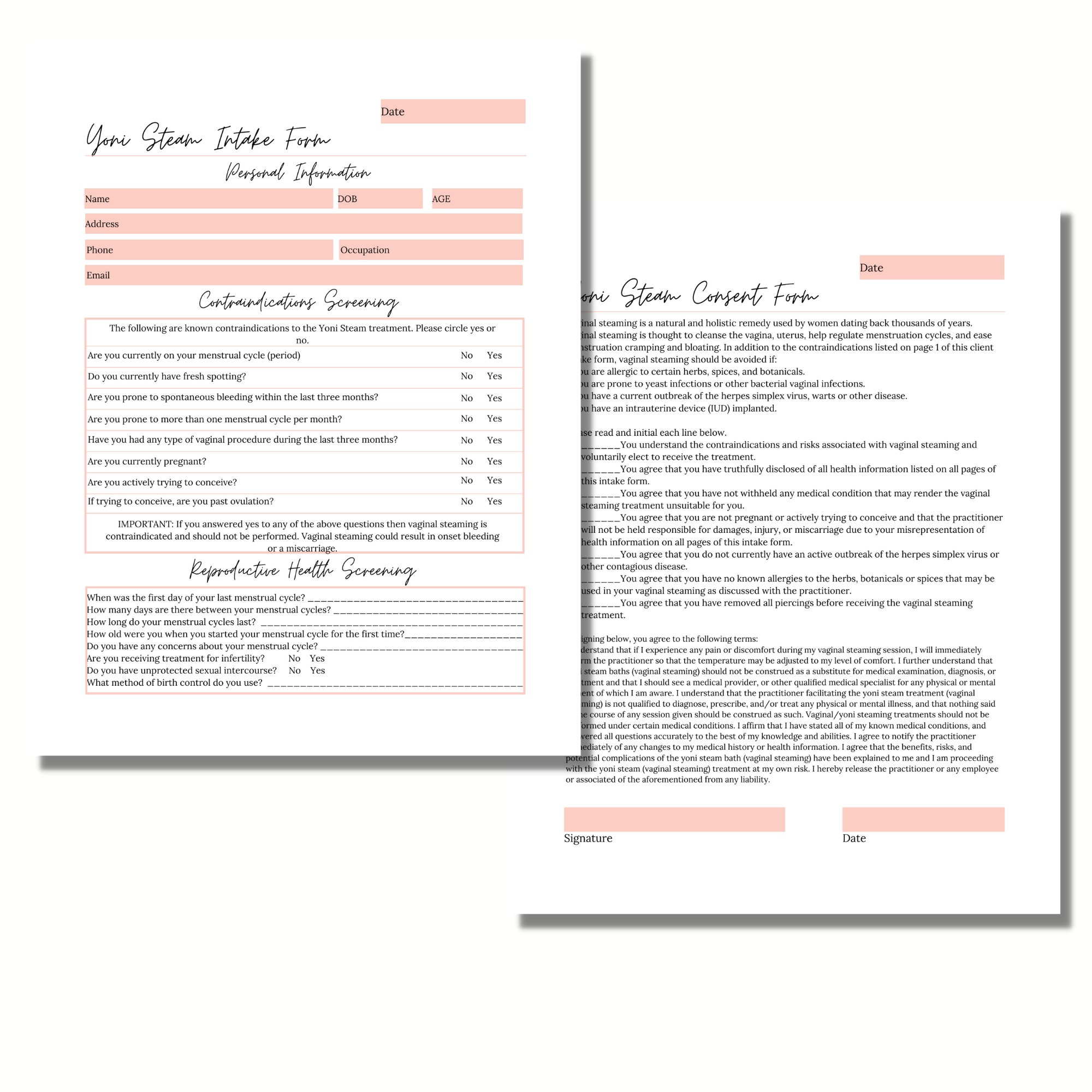 Yoni Steam Bath Intake Consent Form Printable 2 Page PDF US - Etsy