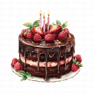 24 Birthday Cake Watercolor Clipart Set, Elegant Chocolate, Fruit ...