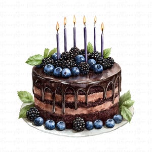24 Birthday Cake Watercolor Clipart Set, Elegant Chocolate, Fruit ...