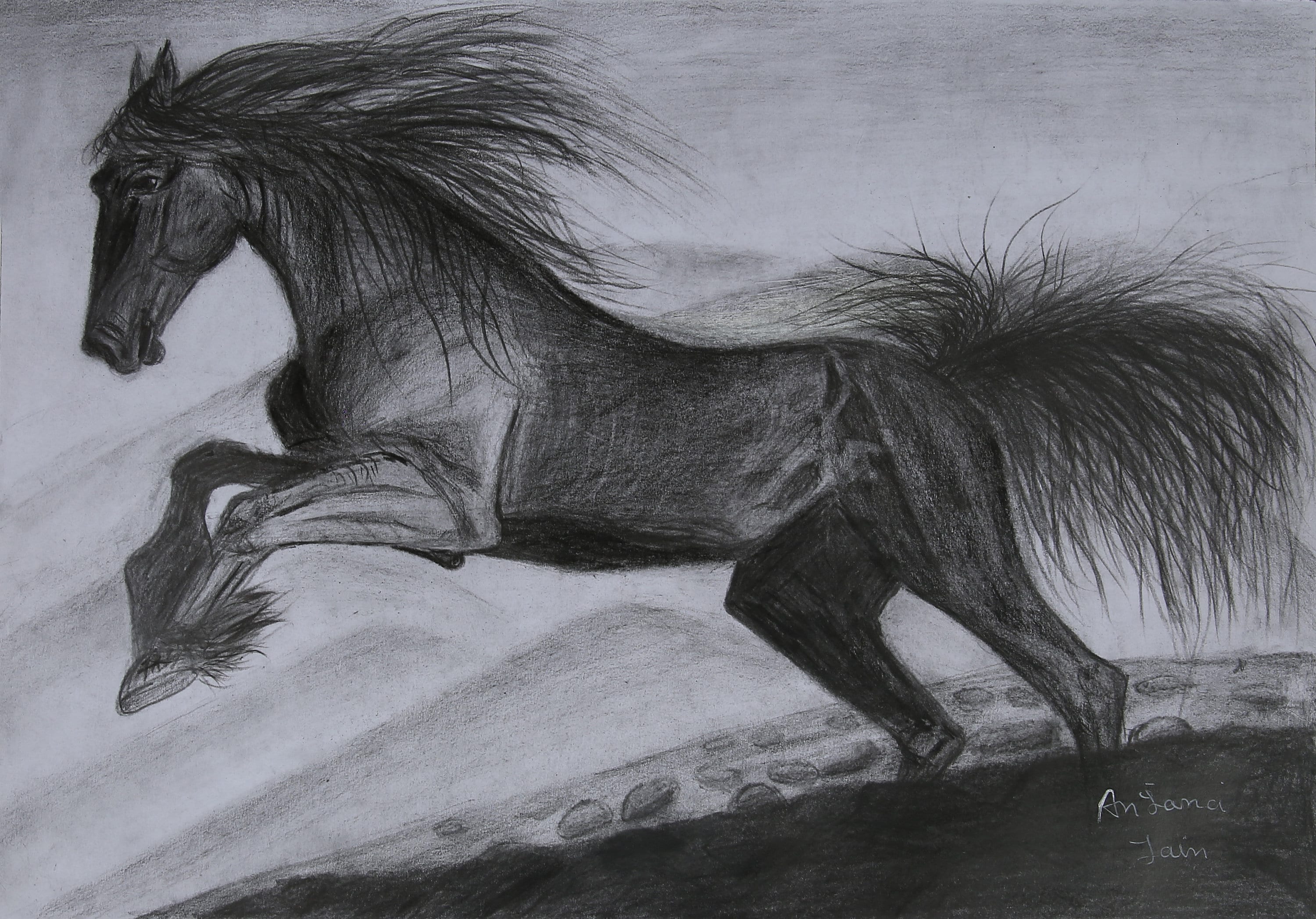 Original Hand Made GYPSY VANNER Horse Charcol Pencil Sketch Drawing on ...
