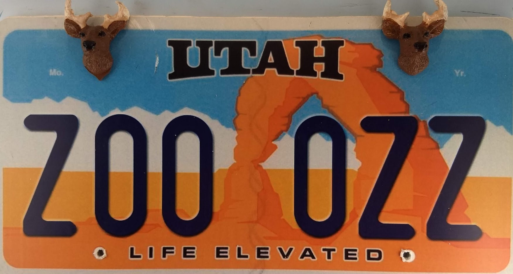 Deer Head License Plate Screws - Etsy