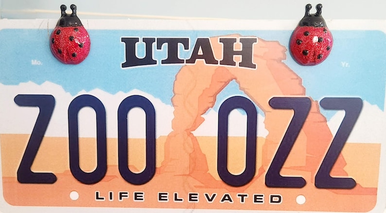 Lady Bug License Plate Screws - Etsy
