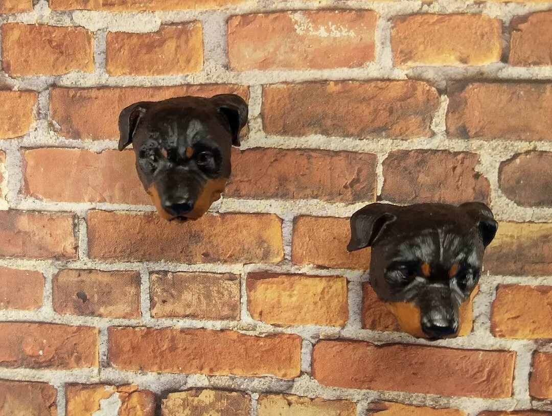 Rottweiler License Plate Screws - Etsy