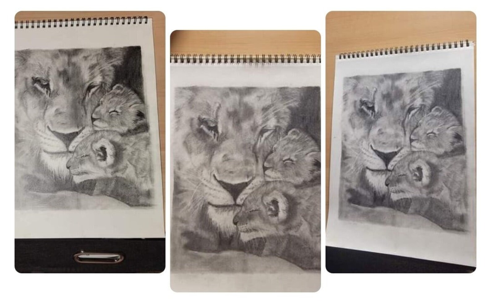Custom Pencil Sketch - Etsy