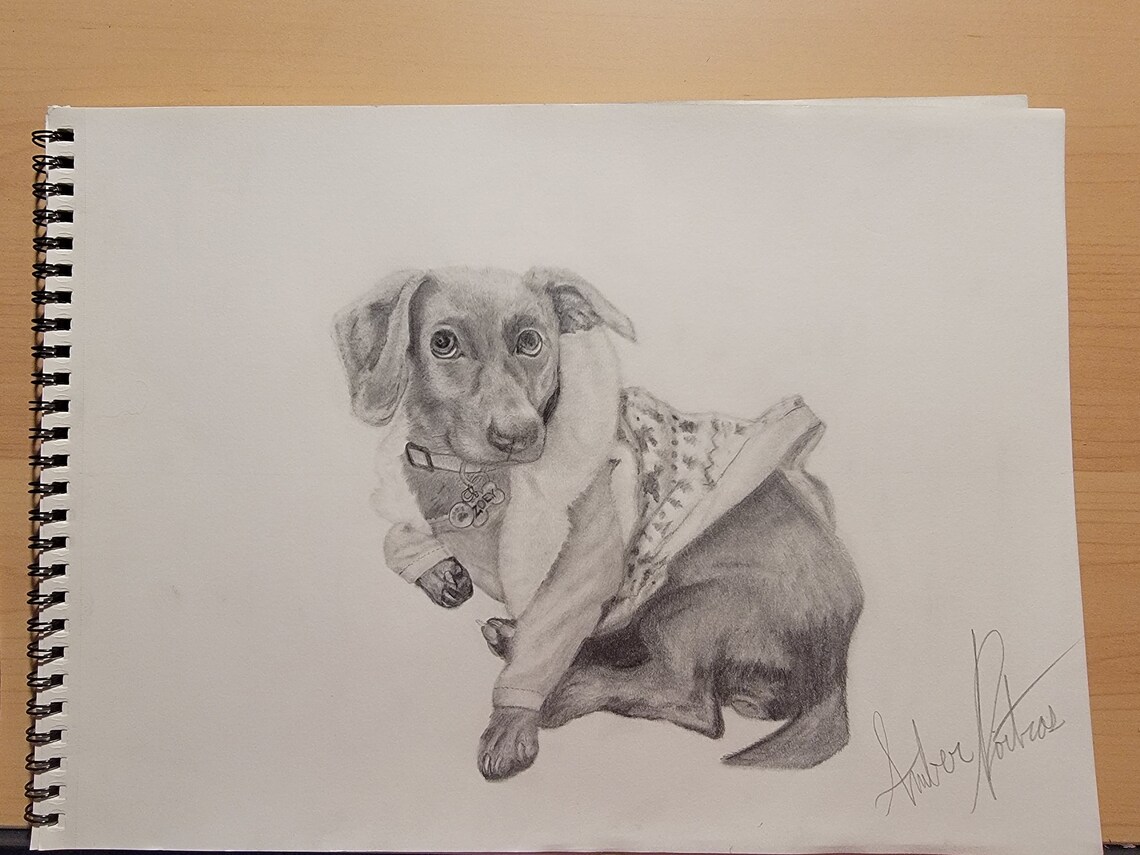 Custom Pencil Sketch - Etsy