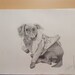 Custom Pencil Sketch - Etsy