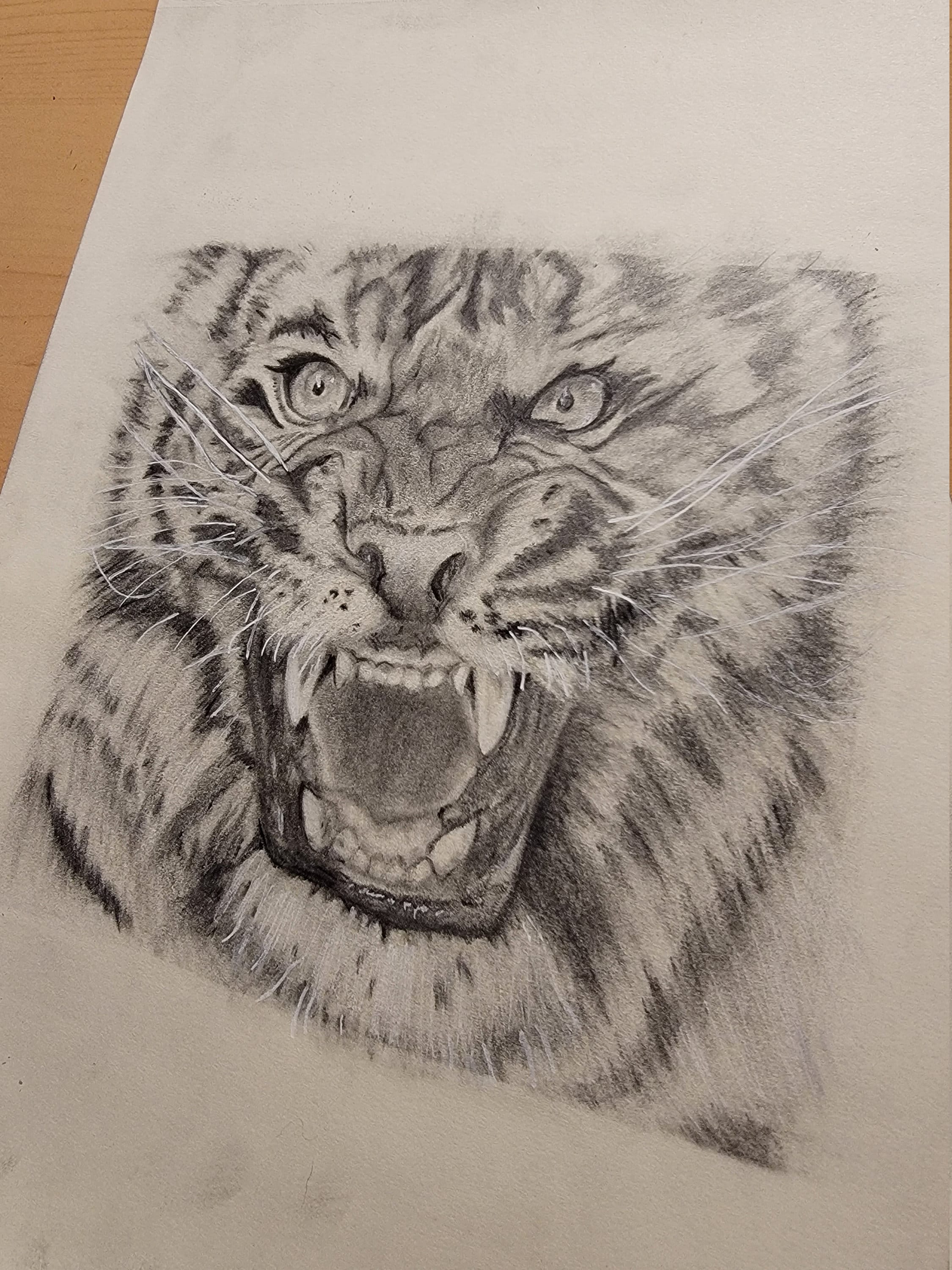 Custom Pencil Sketch - Etsy