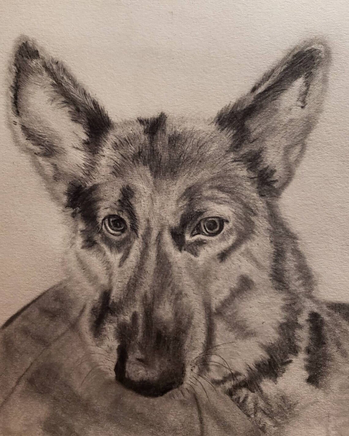 Custom Pencil Sketch - Etsy