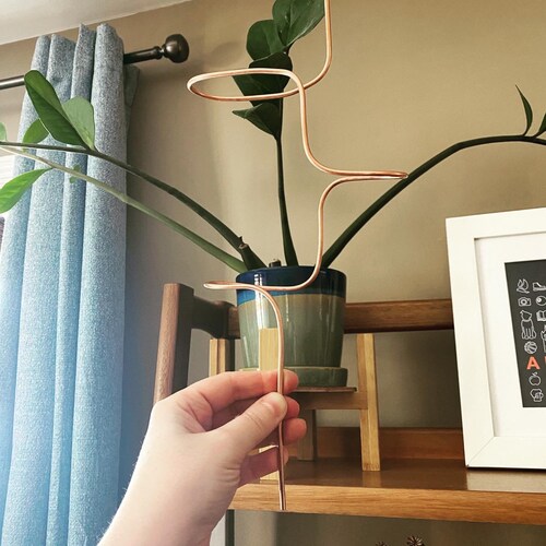 Copper Plant Arch Trellis for Houseplants Hoya Support Wire - Etsy