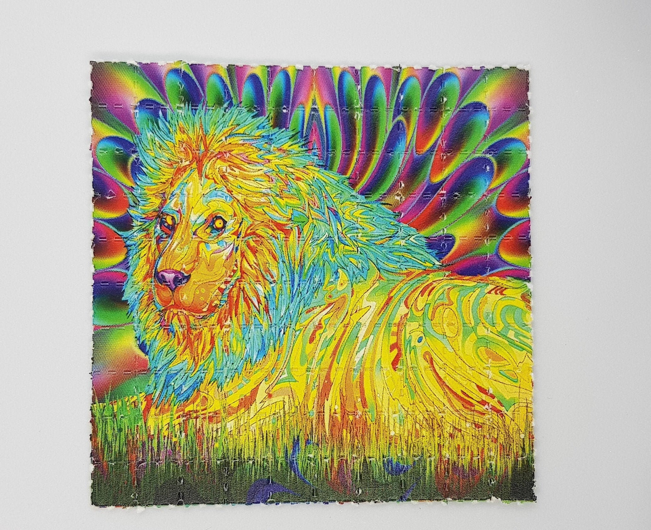 Trippy Lion Cover Photos