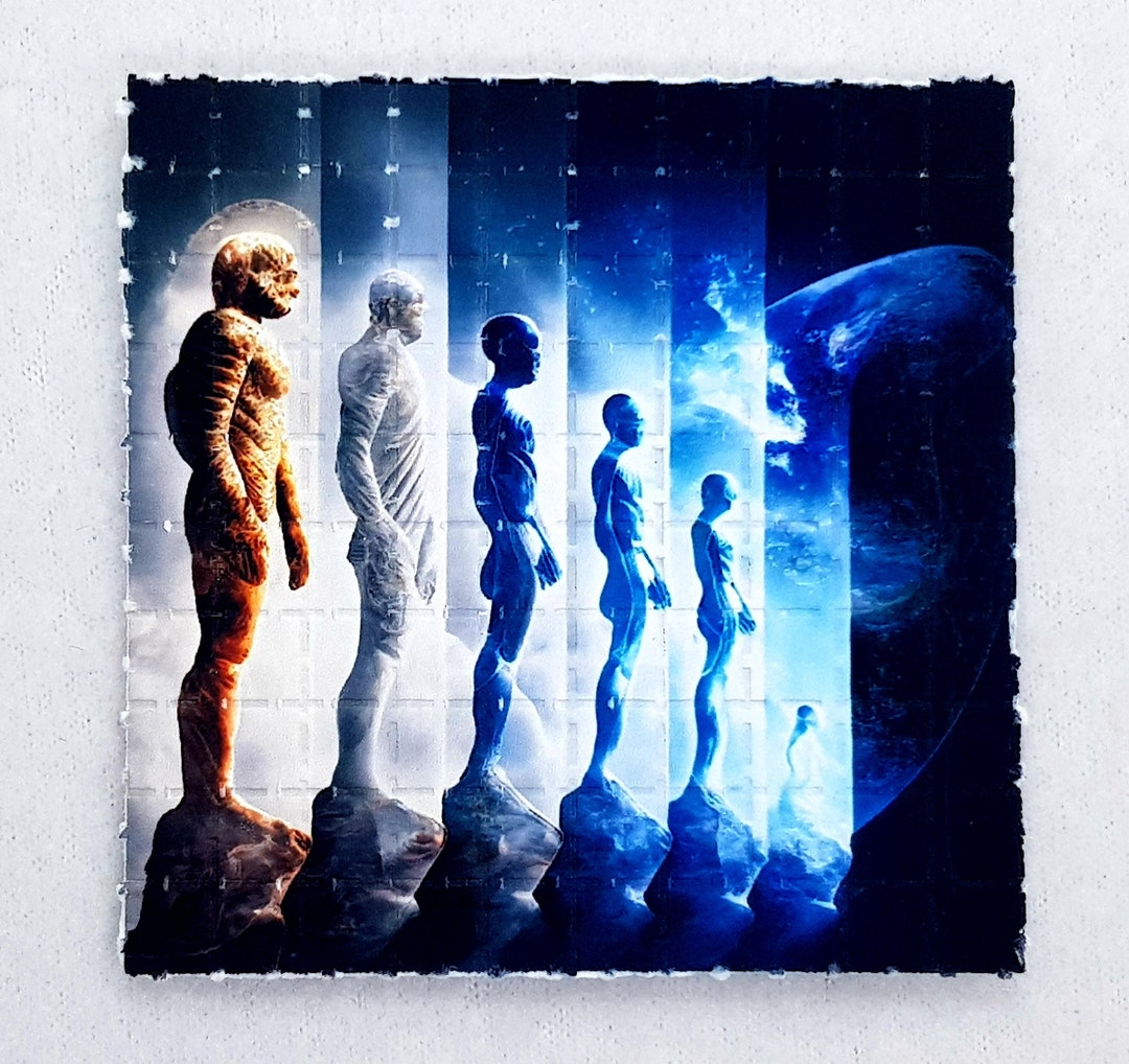 Evolution Blotter Art 100 Tab Sheet Psychedelic Art Print - Etsy