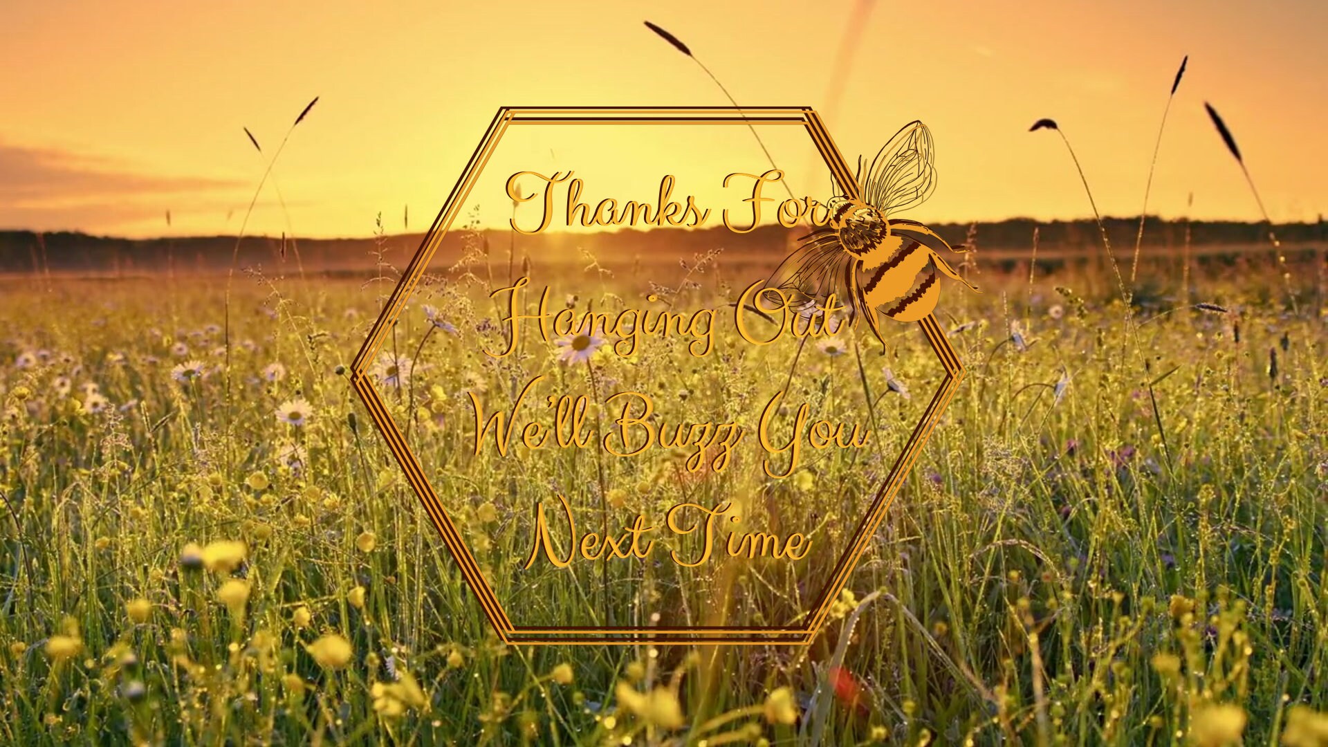 Cozy Bees Animated & Static Bundle - Etsy