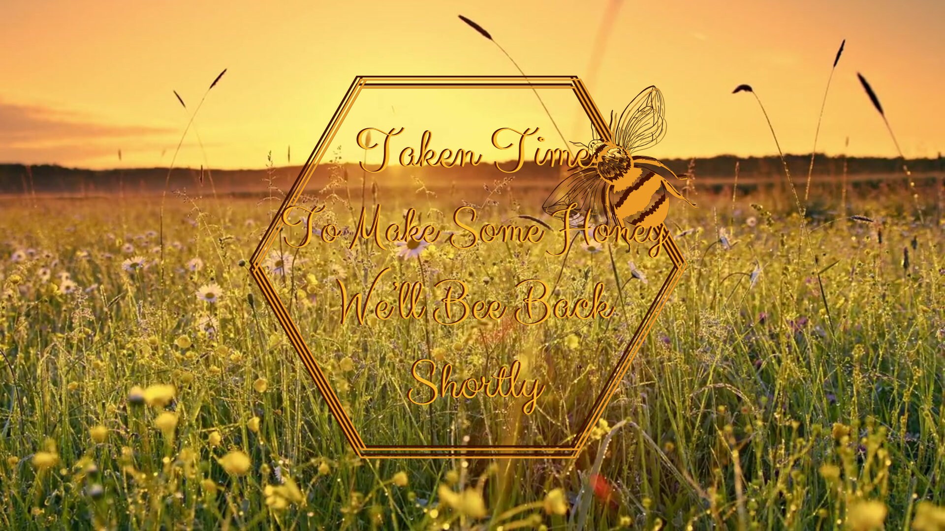 Cozy Bees Animated & Static Bundle - Etsy