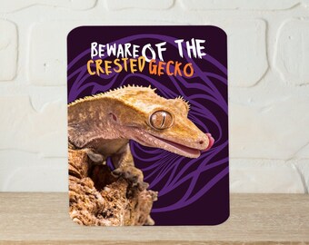 Crested Gecko Sign - Etsy