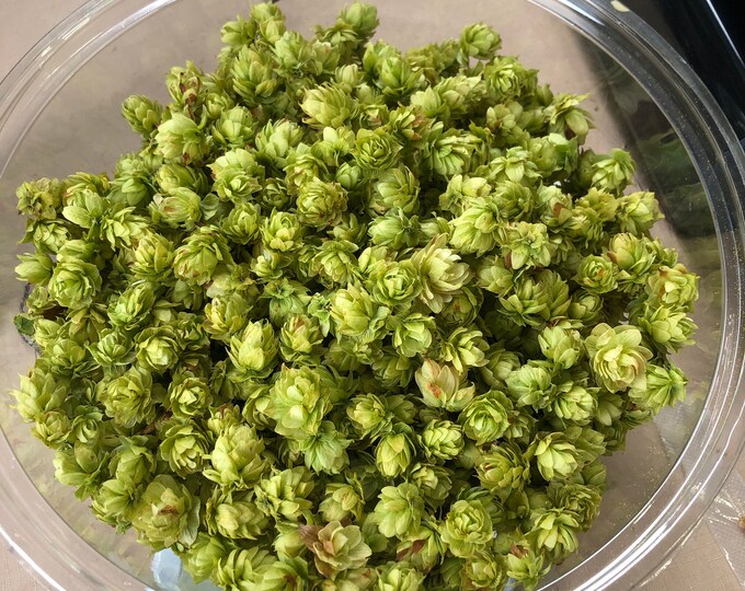 2024 Hops - Organic Cascade Whole Leaf Hops / Humulus Lupulus / Dried ...