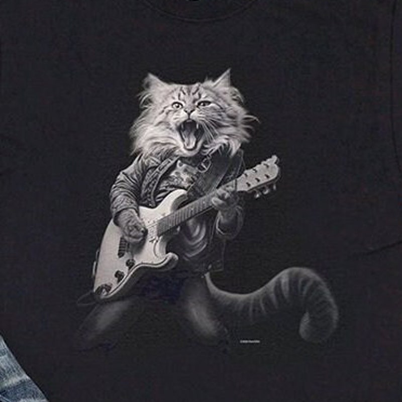 I Am Not a Robot Game on Neal.fun Where is the Guitar Cat - Etsy Canada