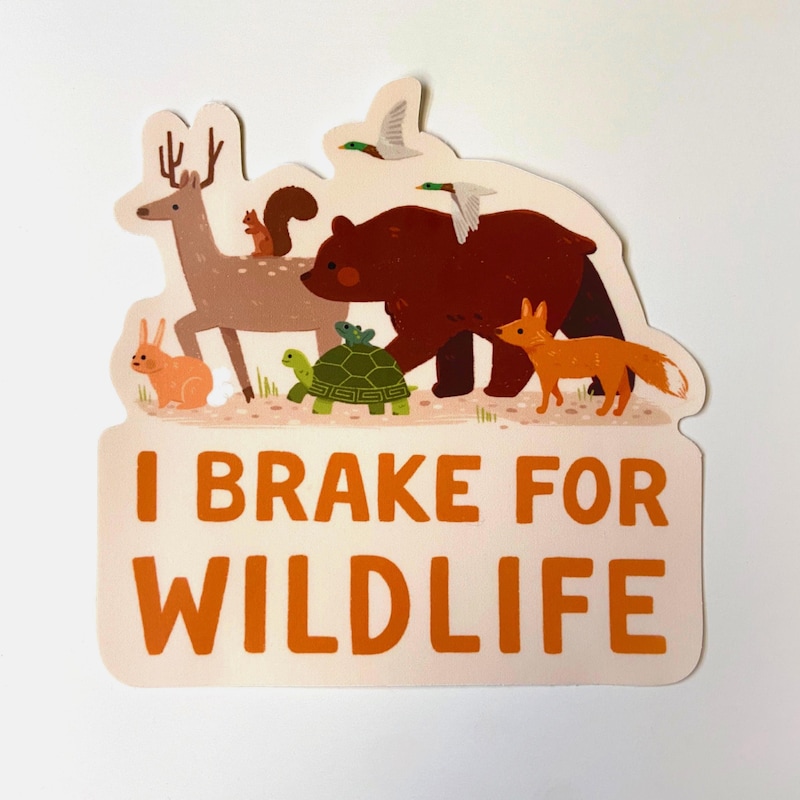Funny Deer Bumper Sticker - Etsy