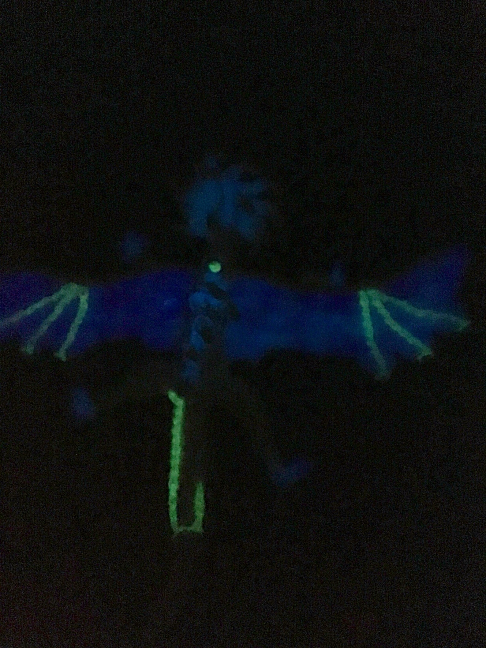 Prince Winter the Icewing With Alternate Version. Please Indicate Which ...