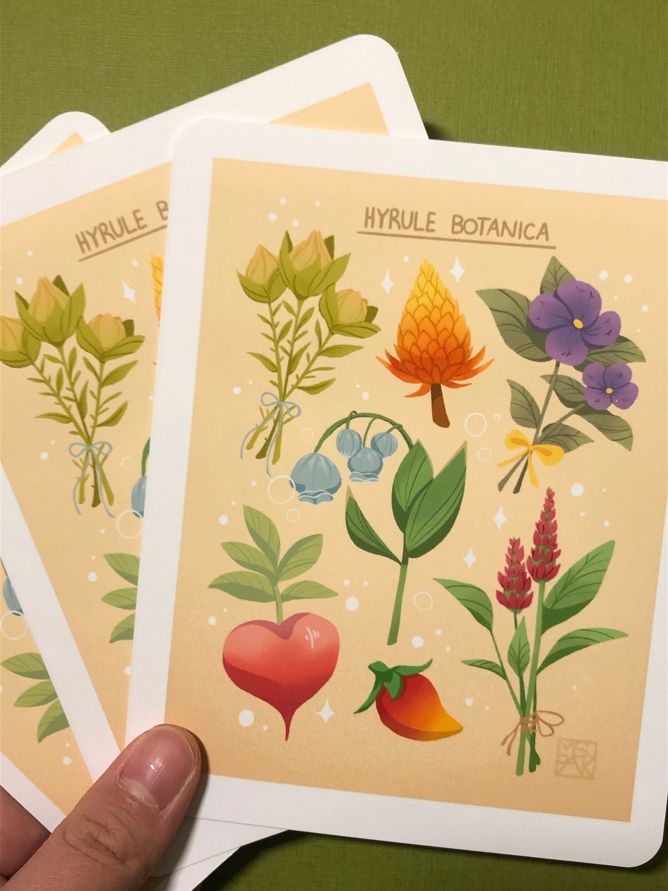 Hyrule Botanica Plants of the Legend of Zelda Breath of the - Etsy