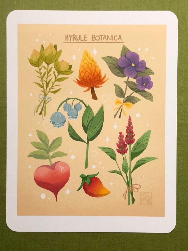 Hyrule Botanica Plants of the Legend of Zelda Breath of the - Etsy
