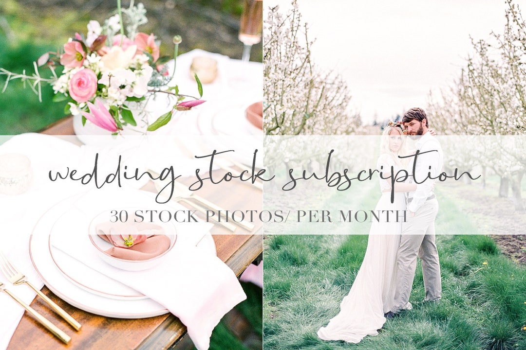 Styled Stock Photo Subscription, Business Branding, Website Images - Etsy