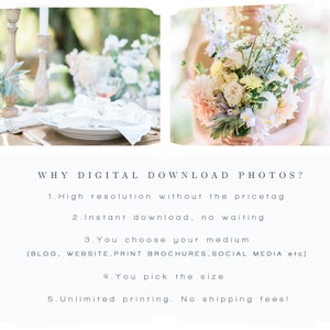 Floral Stock Photo Bundle, Flower Mock Up, Branding Images, Feminine ...