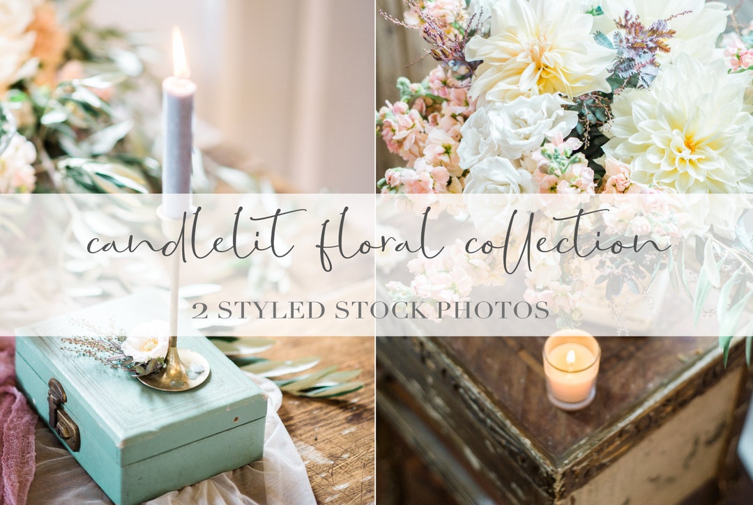 Styled Stock Photography, Photography Stock, Flower Stock Photos ...