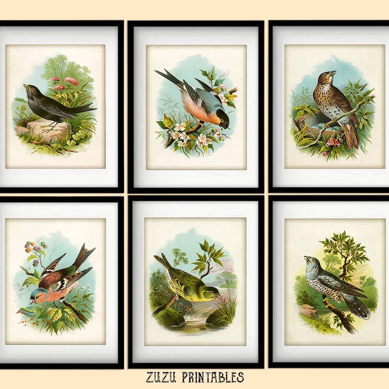 Vintage Bird - Etsy