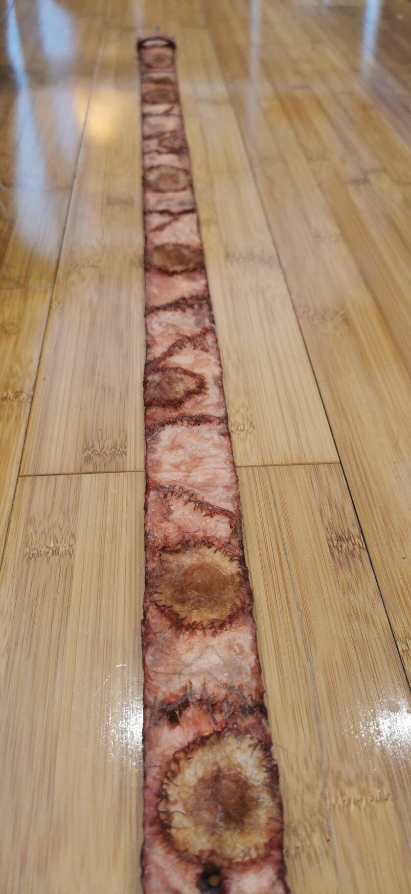 Ed Gein Texas Motosierra Estilo Nipple Belt Horror Gore Art | Etsy México