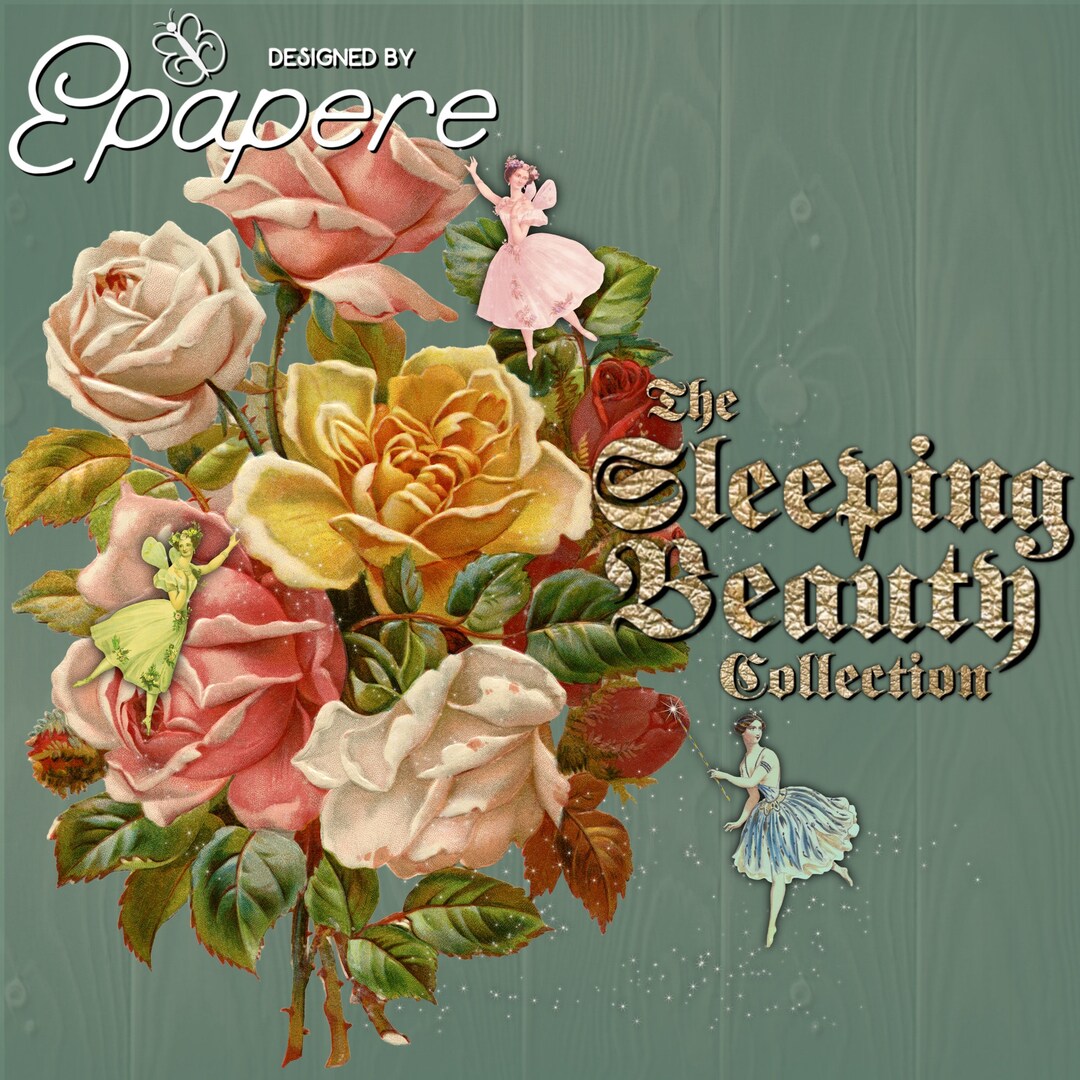 The Sleeping Beauty Collection - Etsy