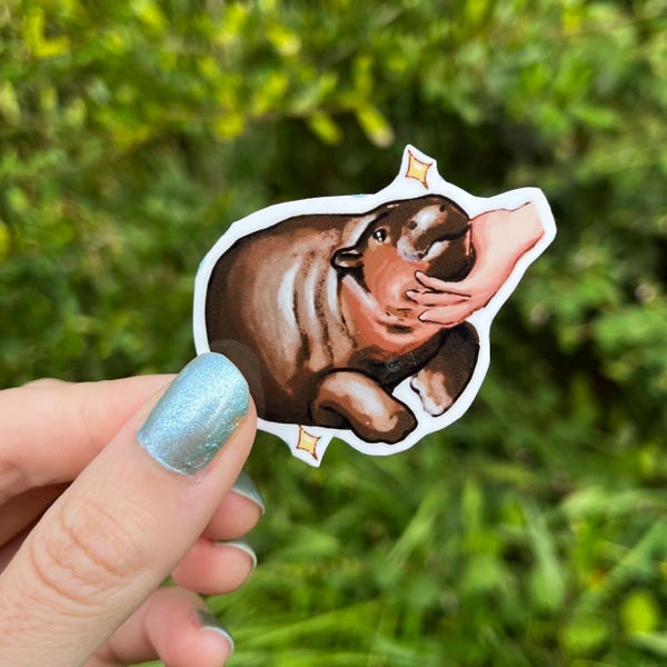 Moo Deng Stickers - Etsy