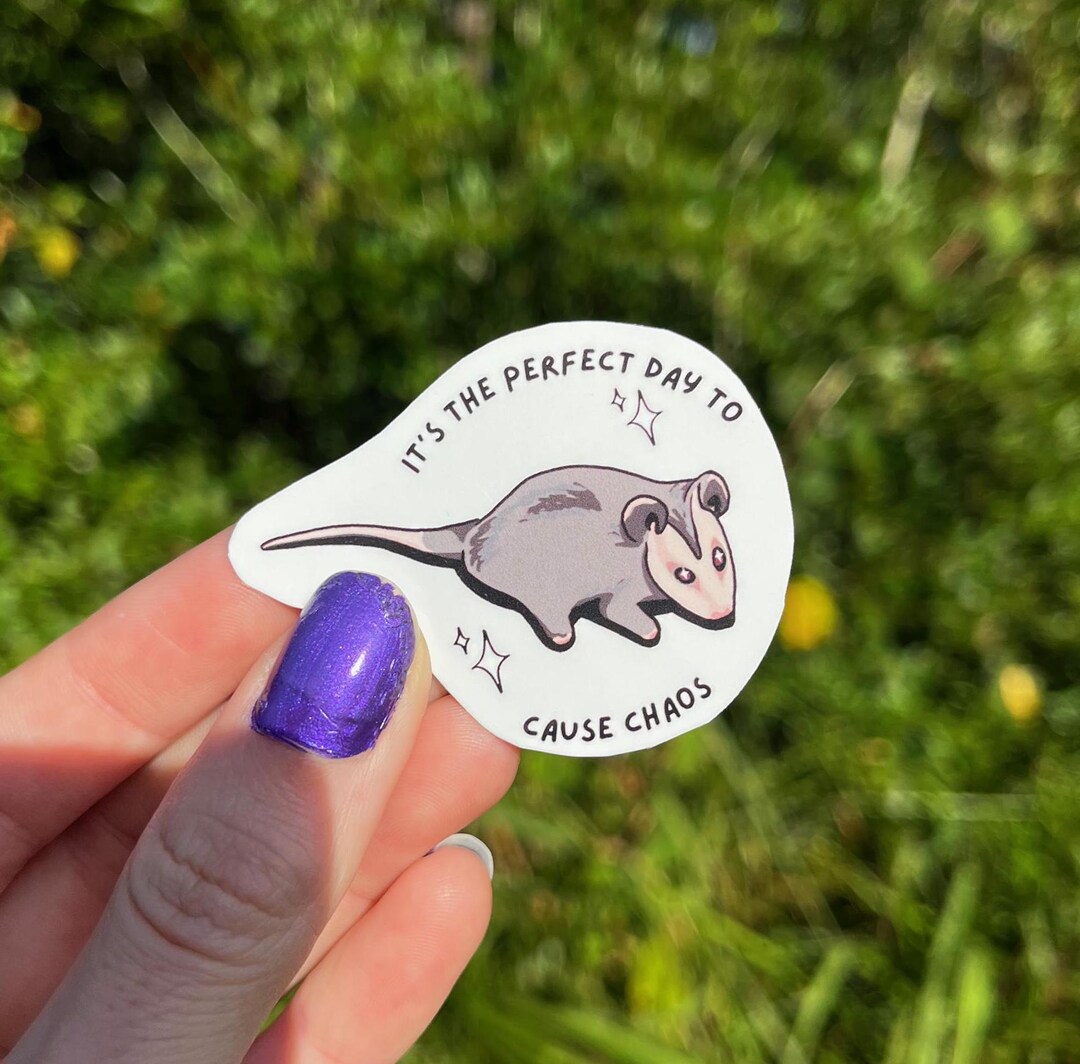 Chaotic Possum Sticker | Possum Meme Sticker | Funny Animal Sticker ...