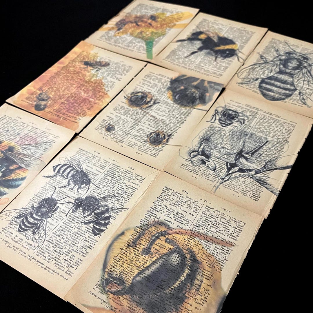 Upcycled Art Bee Dictionary Print Vintage Book Page Collage - Etsy